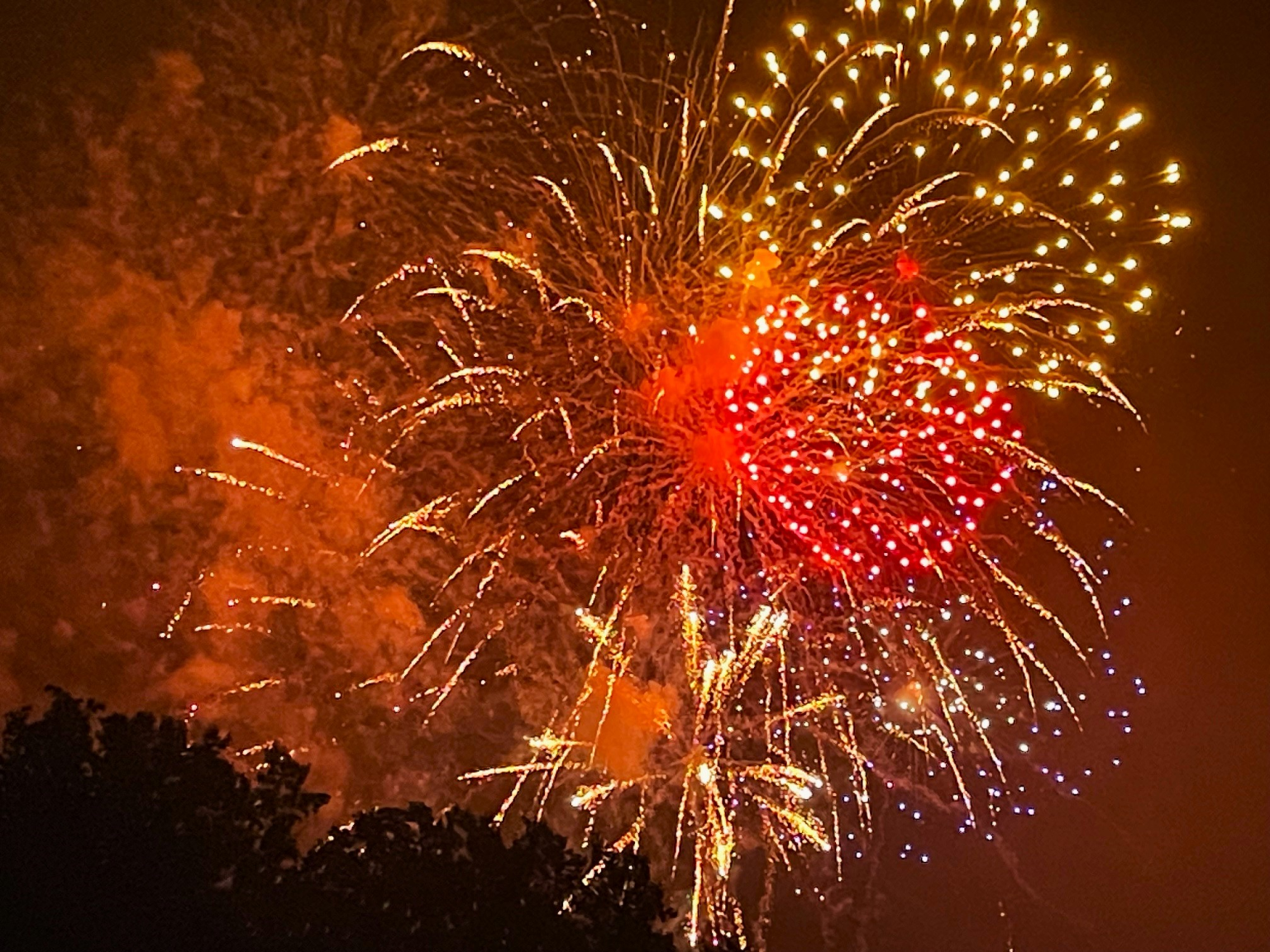 Fireworks! - Annandale Today