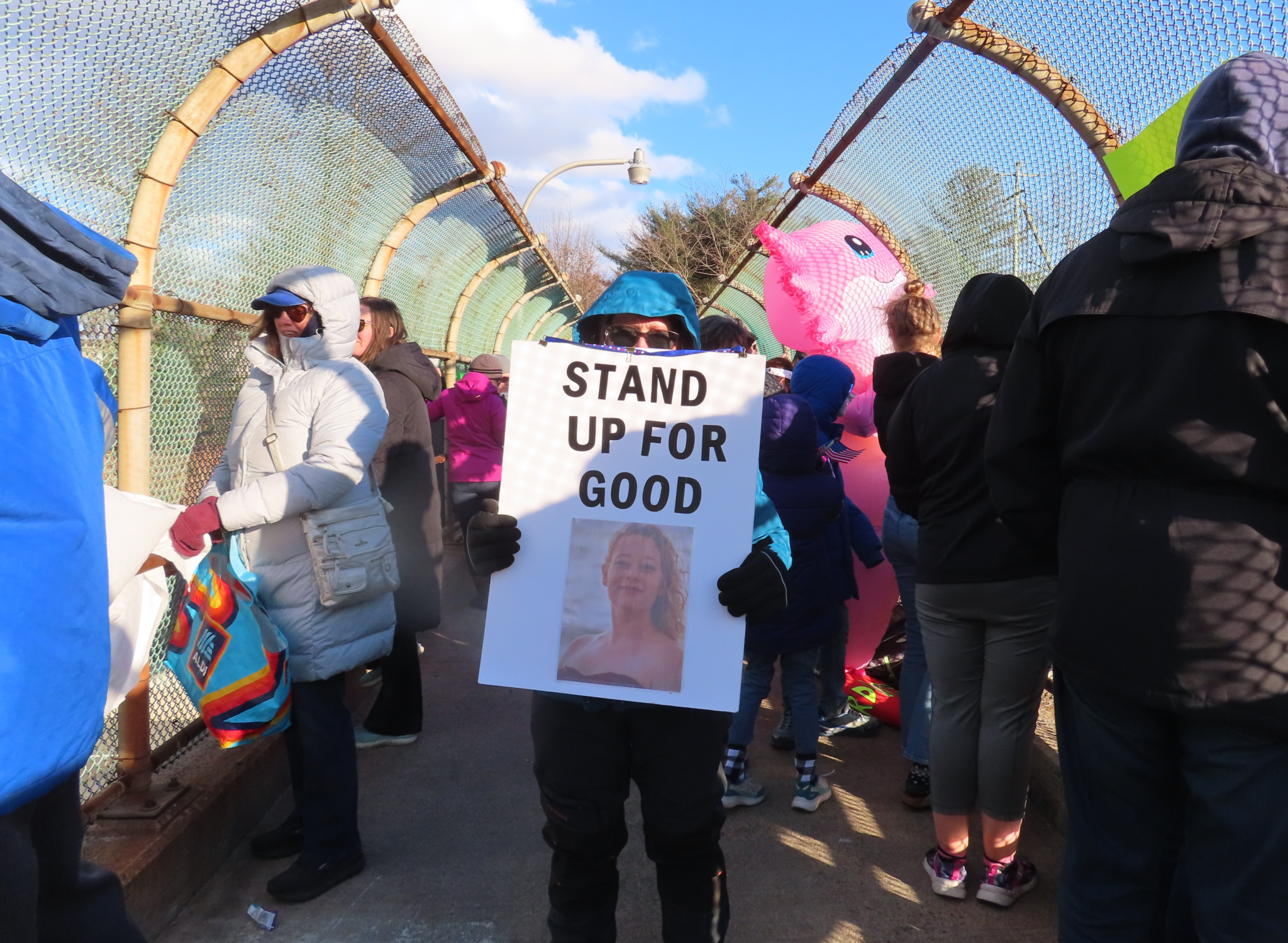 Protesters take a stand against ICE - Annandale Today